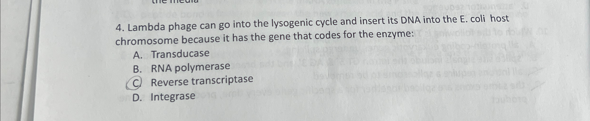 Solved Lambda phage can go into the lysogenic cycle and | Chegg.com