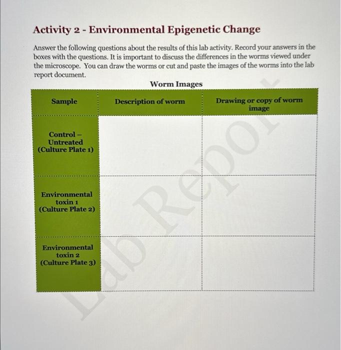 Solved Lab Report Environmental Epigenetics Lab Answer the | Chegg.com