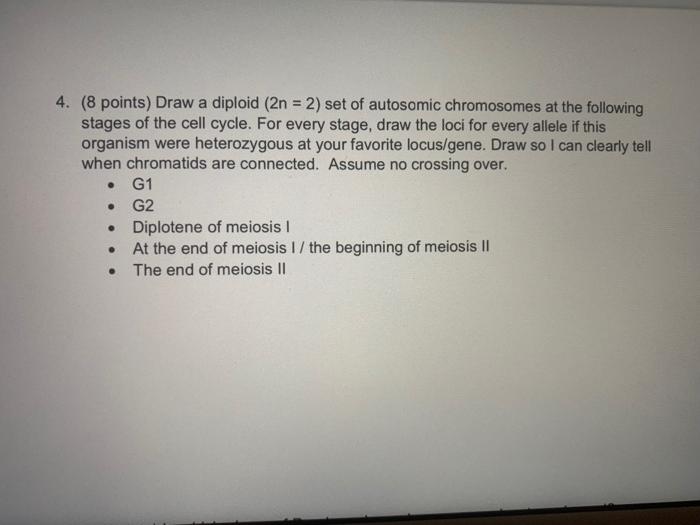 Solved 4. (8 points) Draw a diploid (2n=2) set of autosomic | Chegg.com