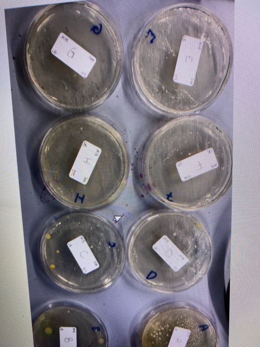 Post-lab questions: 1. You were able to find between | Chegg.com