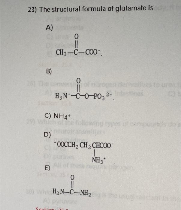 Solved 23) The structural formula of glutamate is A ) A 0 II | Chegg.com