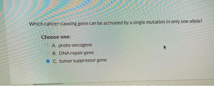 Solved Which cancer-causing gene can be activated by a | Chegg.com