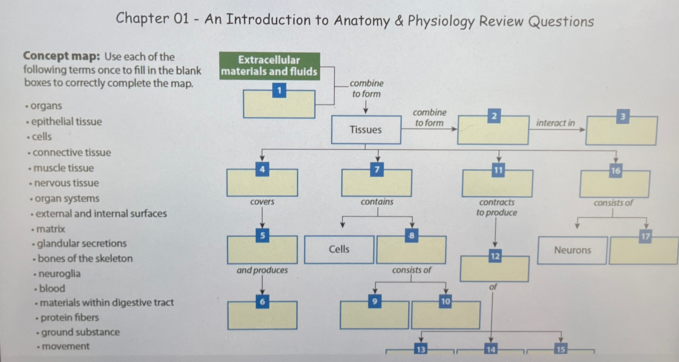 Solved Chapter 01 - ﻿An Introduction to Anatomy & Physiology | Chegg.com