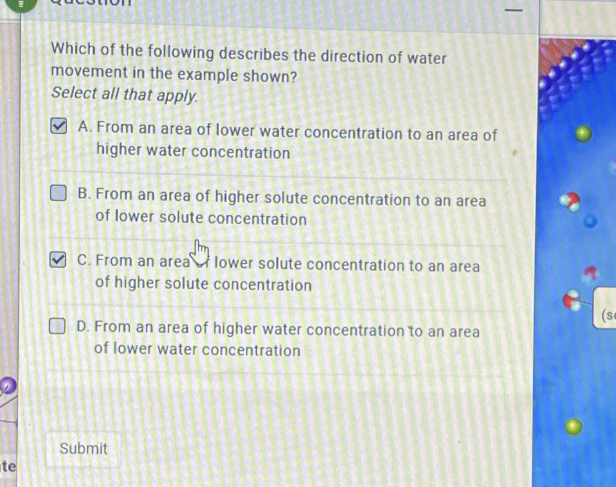 Solved Which Of The Following Describes The Direction Of 5876