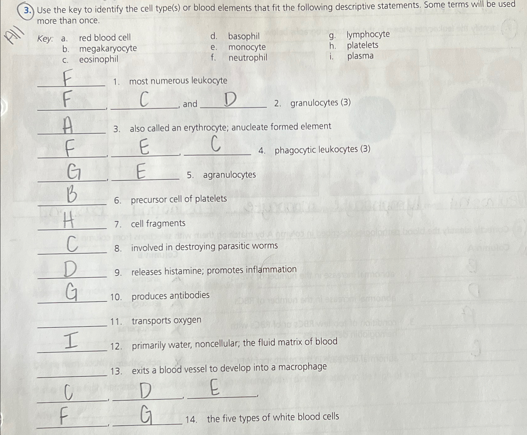 Solved Use the key to identify the cell type(s) ﻿or blood | Chegg.com