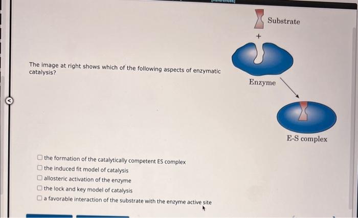 Solved Suppose An Enzyme And Its Substrate Obey The Lock And