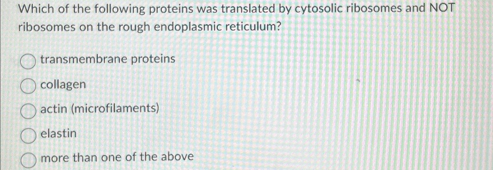 Solved Which of the following proteins was translated by | Chegg.com