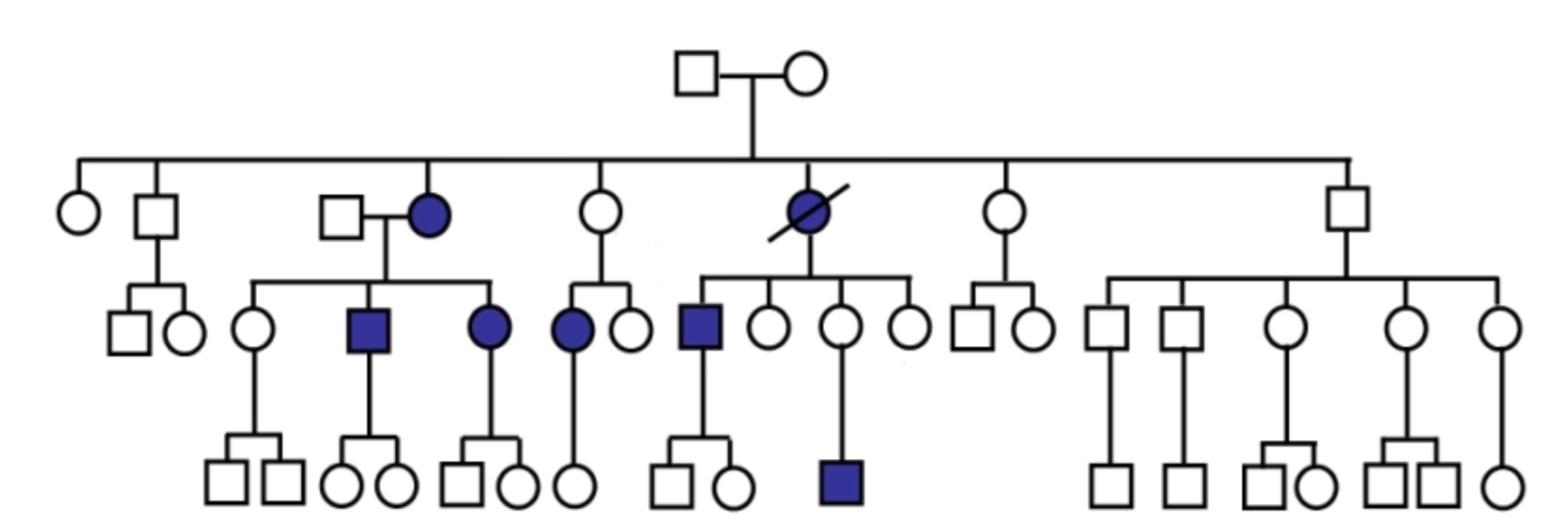 Solved (A) ﻿What is the pattern of inheritance?(B) ﻿What are | Chegg.com