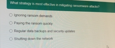 Solved What strategy is most effective in mitigating | Chegg.com