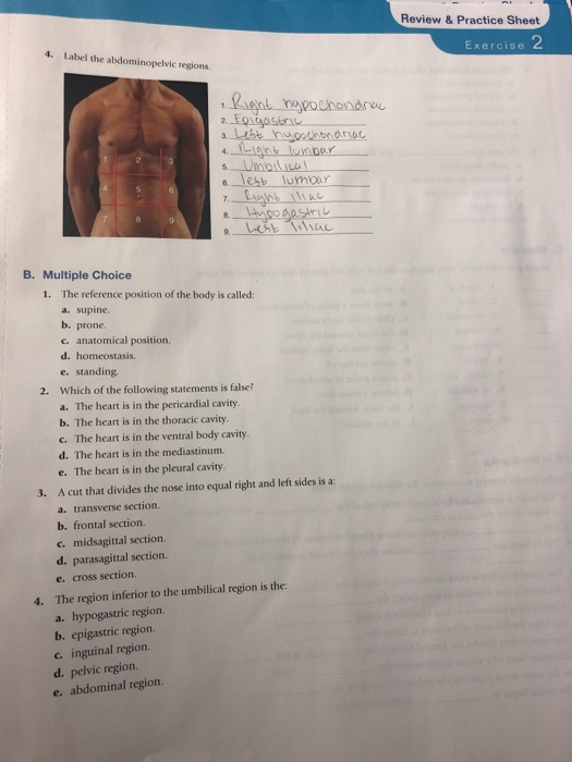 Solved Review & Practice Sheet Exercise 2 4. Label the | Chegg.com