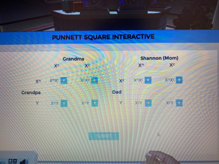 Solved Construct the Punnet more info. HOME THEORY MEDIA | Chegg.com