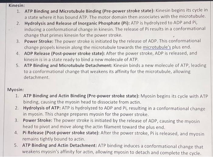 Solved Kinesin: 1. ATP Binding and Microtubule Binding | Chegg.com