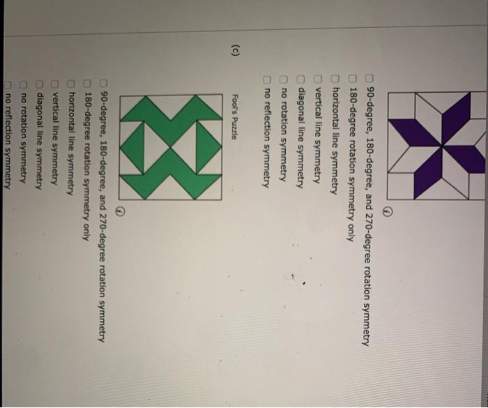 Solved Describe The Rotation And Reflection Symmetries In