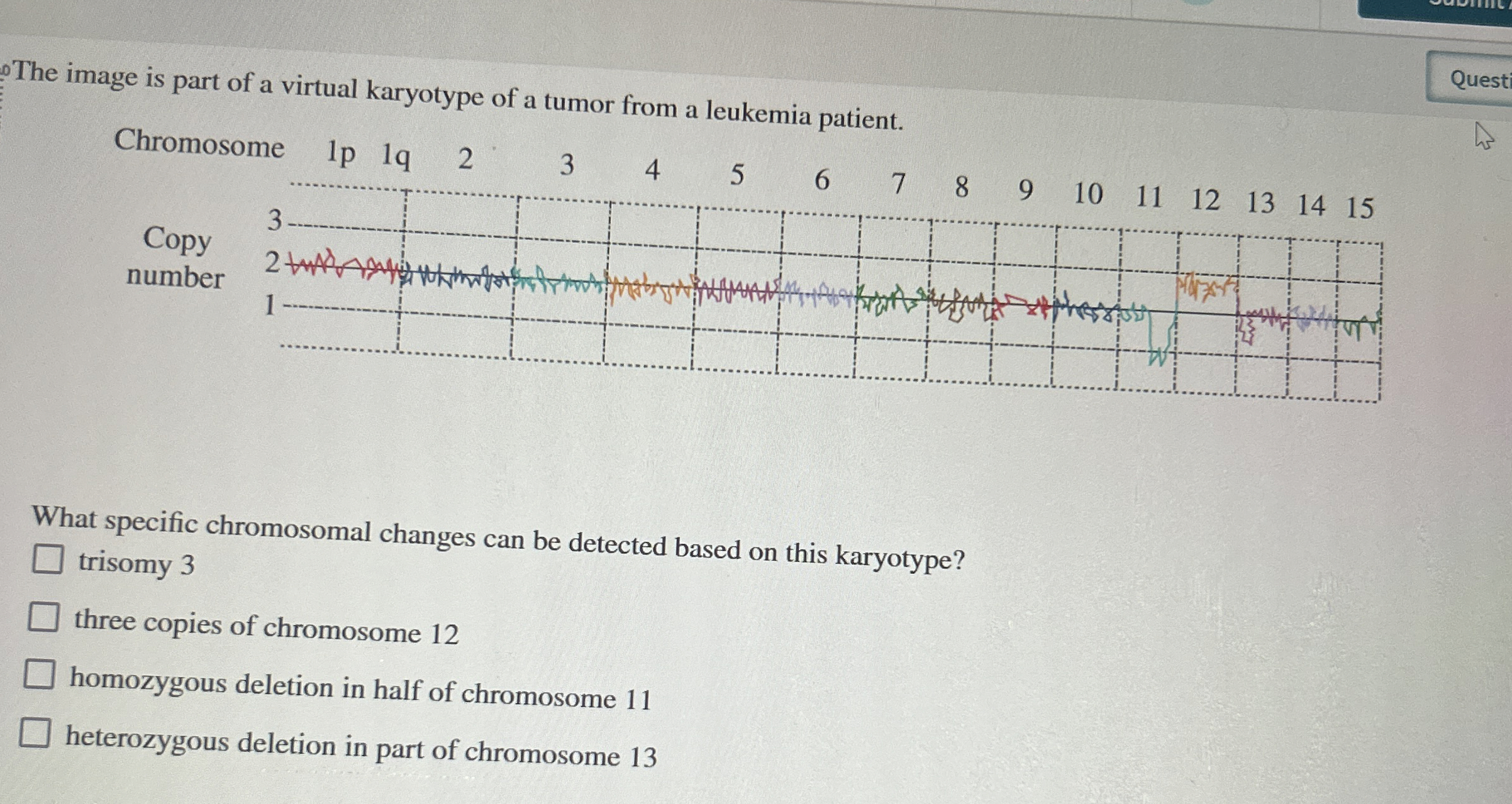 Solved The image is part of a virtual karyotype of a tumor | Chegg.com