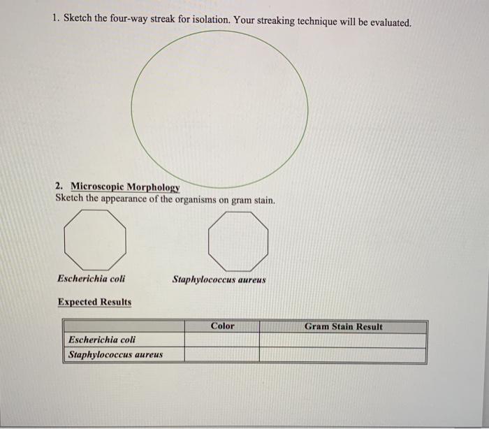 Solved 1. Sketch the four-way streak for isolation. Your | Chegg.com