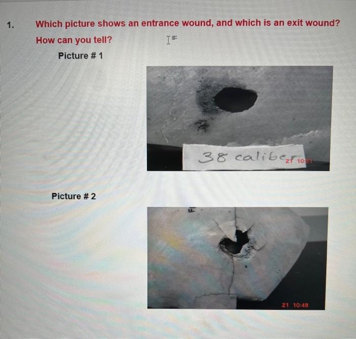 Which picture shows an entrance wound, and which is | Chegg.com