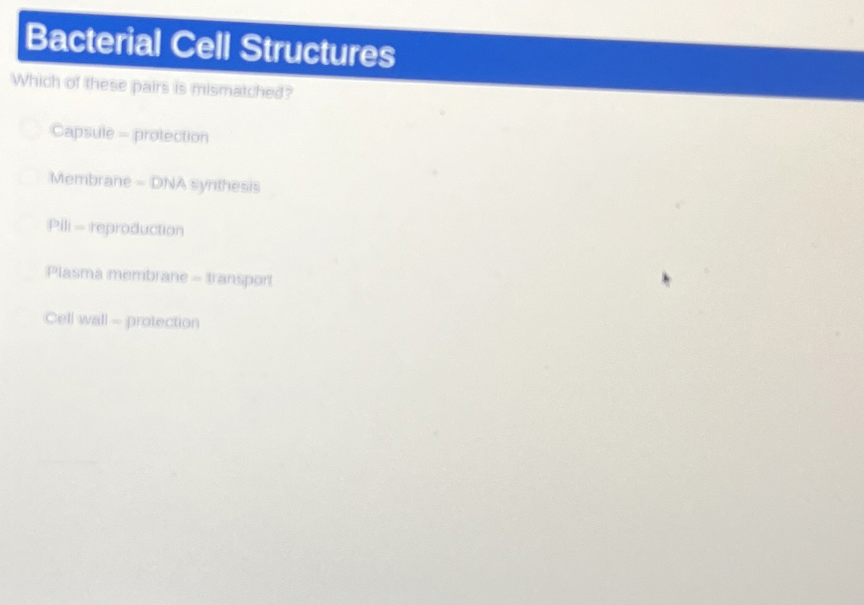 Solved Bacterial Cell structuresWhich of these pairs is | Chegg.com