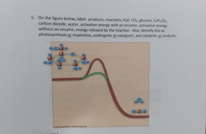 Solved On the figure below, label: products, reactants, | Chegg.com