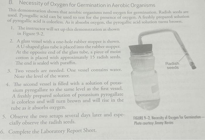 Solved B. Necessity of Oxygen for Germination in Aerobic | Chegg.com