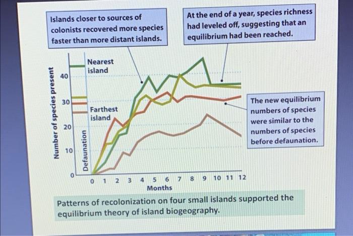 Solved 13. Describe the equilibrium theory of island | Chegg.com