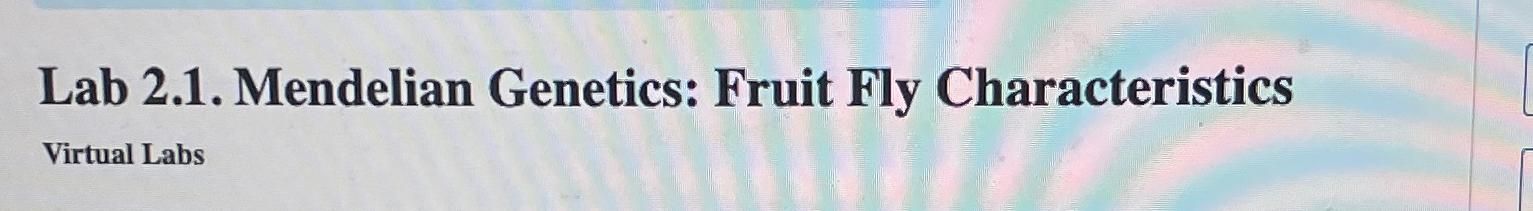 Solved Lab 2.1. ﻿Mendelian Genetics: Fruit Fly | Chegg.com