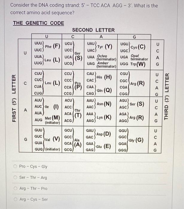 Solved Question 1 1 pts Consider the DNA sequence: 5'- CTA | Chegg.com