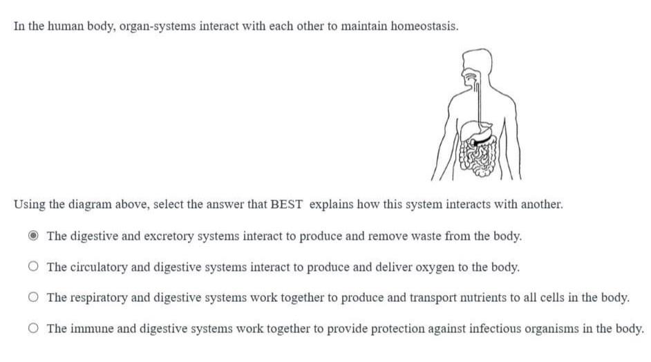 Solved In the human body, organ-systems interact with each | Chegg.com