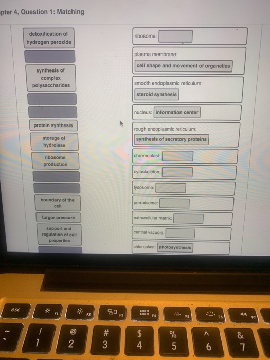 Solved pter 4, Question 1: Matching detoxification of | Chegg.com
