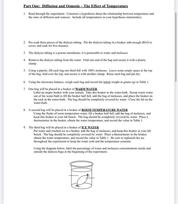 Part One: Diffusion and Osmosis - The Effect of | Chegg.com