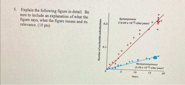 Solved 5. Explain the following figure in detail. Be sure to | Chegg.com