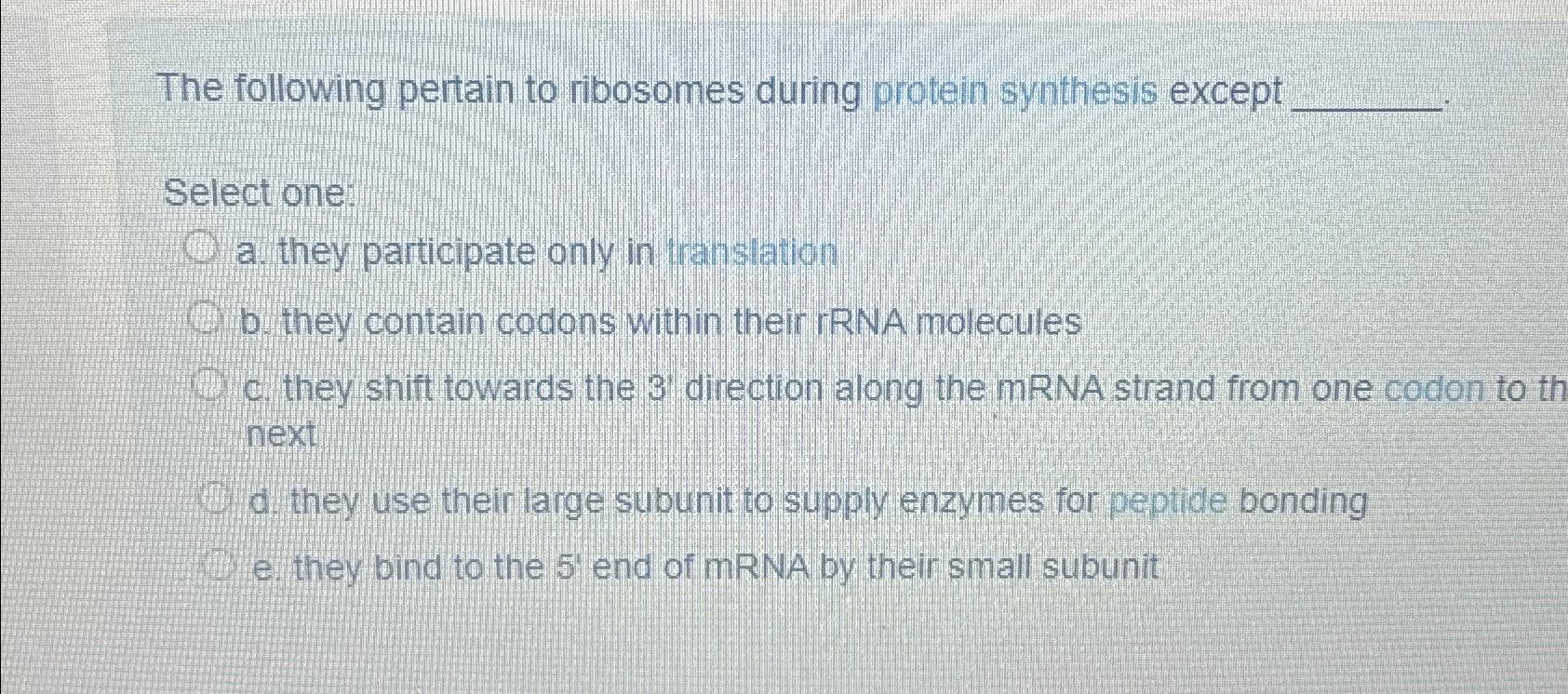 Solved The following pertain to ribosomes during protein | Chegg.com