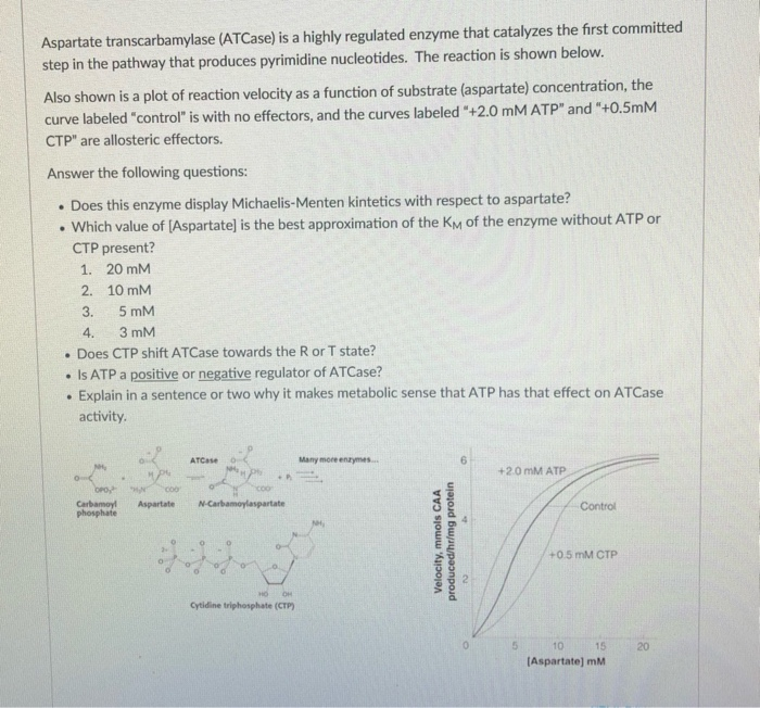 Solved . Aspartate transcarbamylase (ATCase) is a highly | Chegg.com