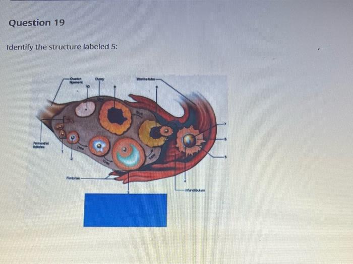 Solved Identify the structure labeled 1: Identify the | Chegg.com