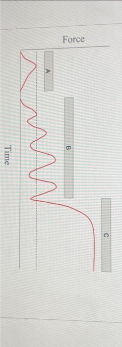Solved Neutral stimulations modulate muscle force output. In | Chegg.com