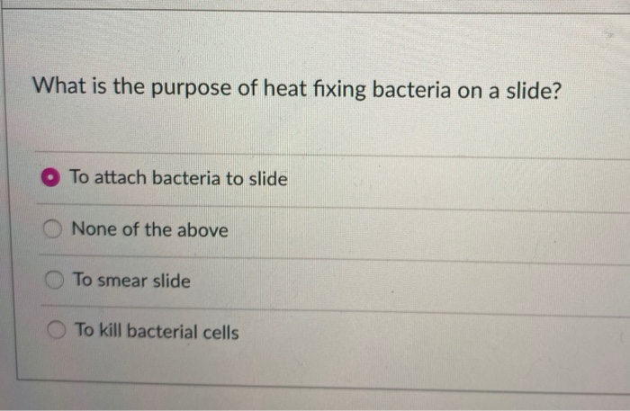 Solved What is the purpose of heat fixing bacteria on a | Chegg.com