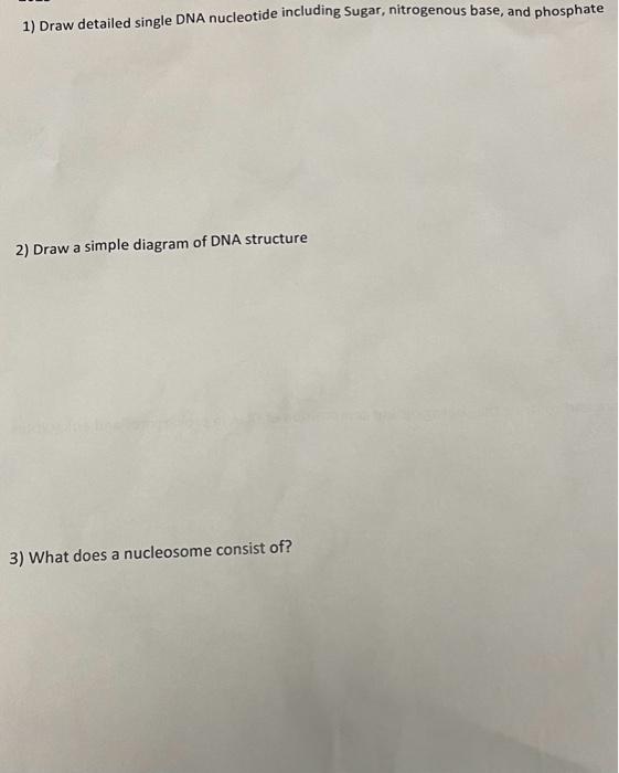 Solved 1) Draw detailed single DNA nucleotide including | Chegg.com