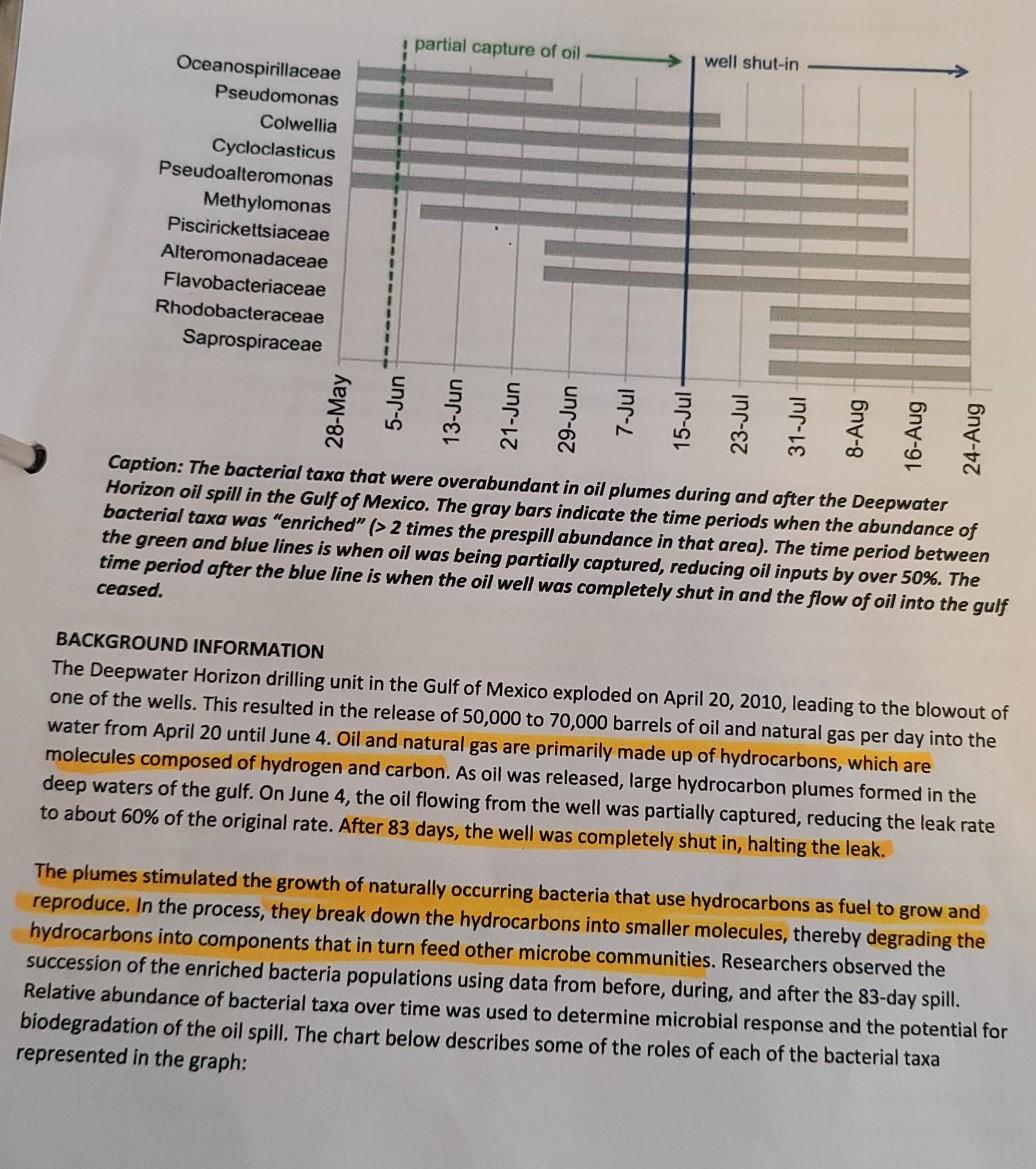 Solved Antigua vista web de MathJax Según los datos y | Chegg.com