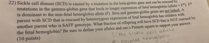 22) Sickle cell disease (SCD) is caused by a mutation | Chegg.com