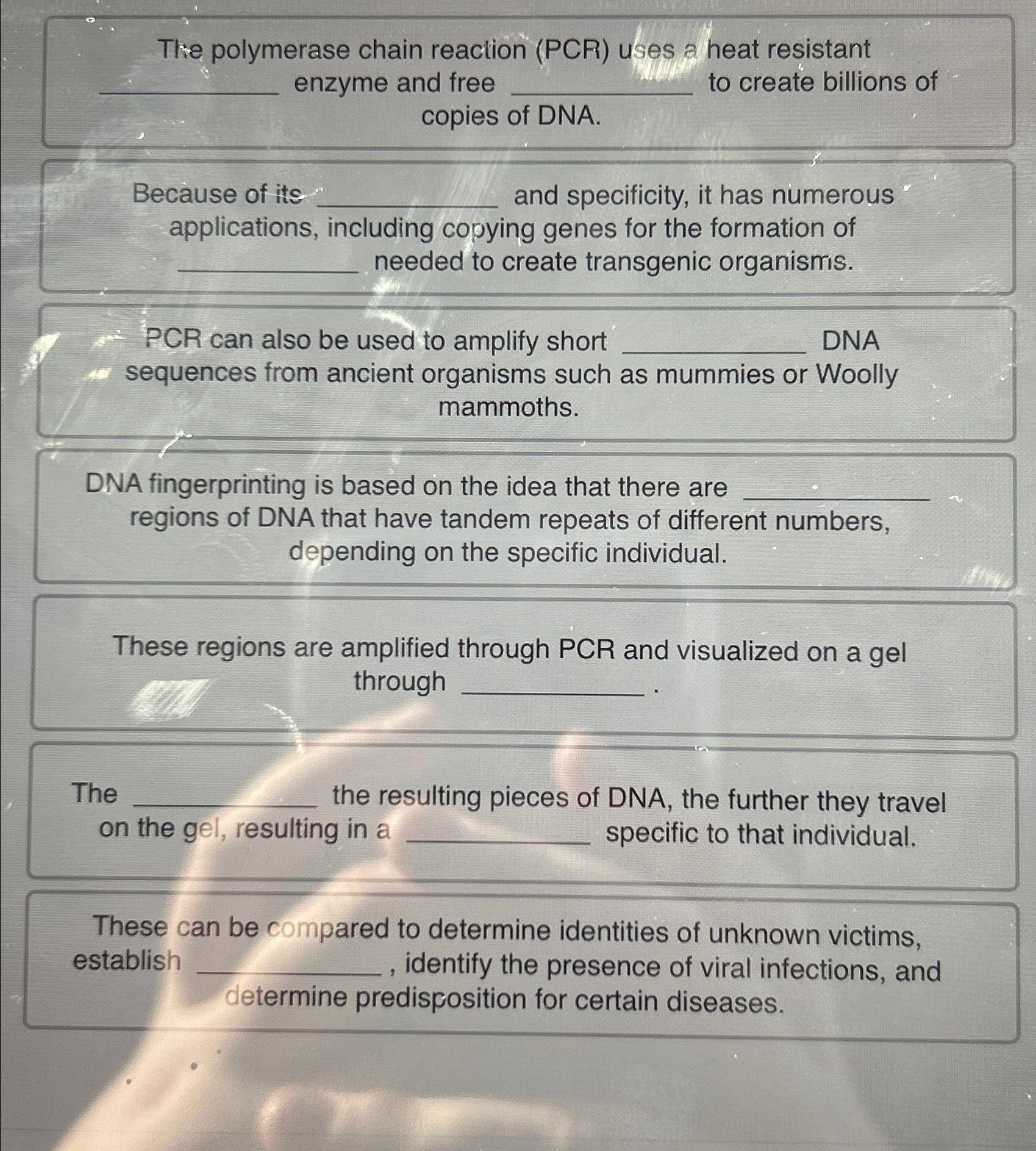 Solved Thie polymerase chain reaction (PCR) ﻿uses a heat | Chegg.com