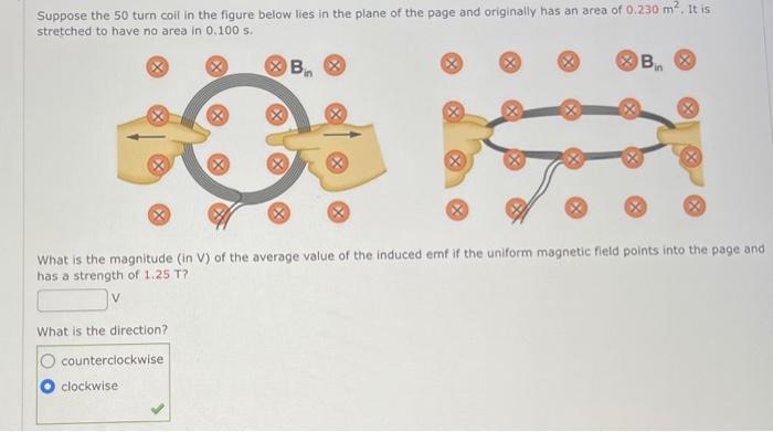 Solved Suppose the 50 turn coil in the figure below lies in | Chegg.com