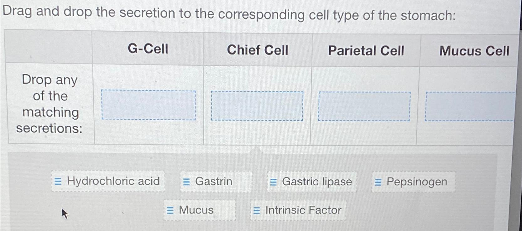Solved Drag and drop the secretion to the corresponding cell | Chegg.com