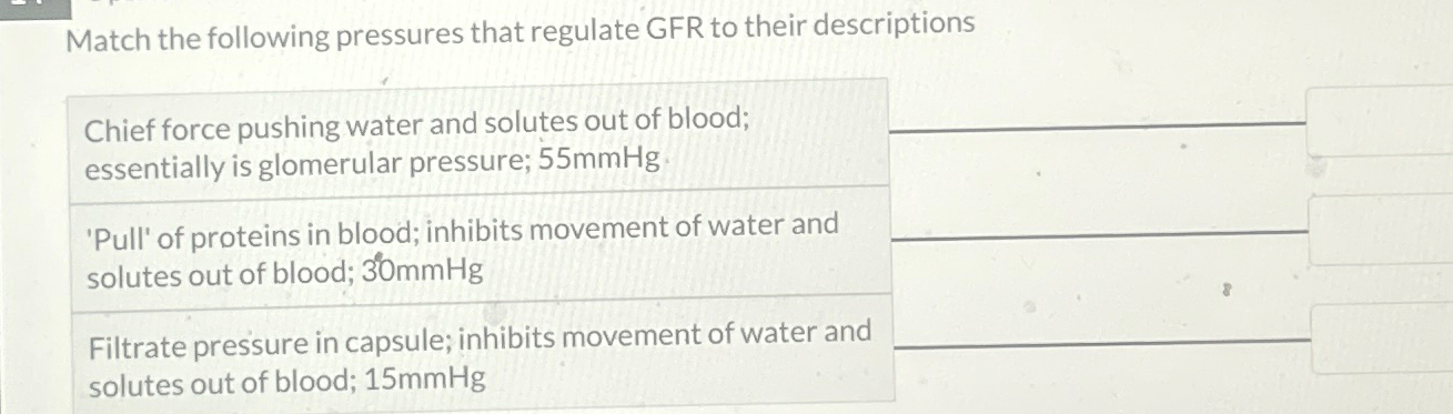 Solved Match the following pressures that regulate GFR to | Chegg.com