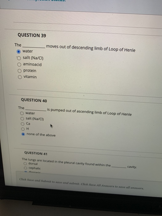 Solved QUESTION 39 The moves out of descending limb of Loop | Chegg.com