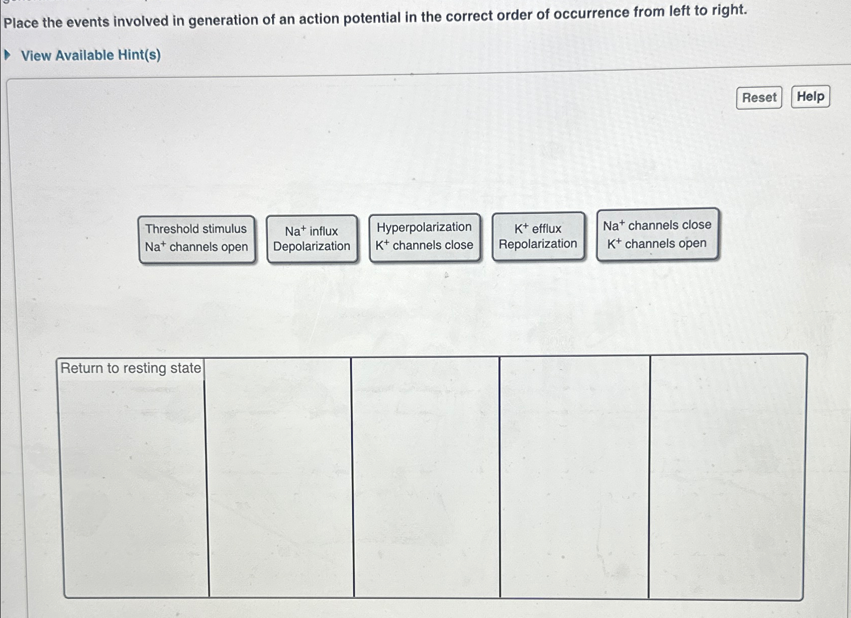 Solved Place the events involved in generation of an action | Chegg.com