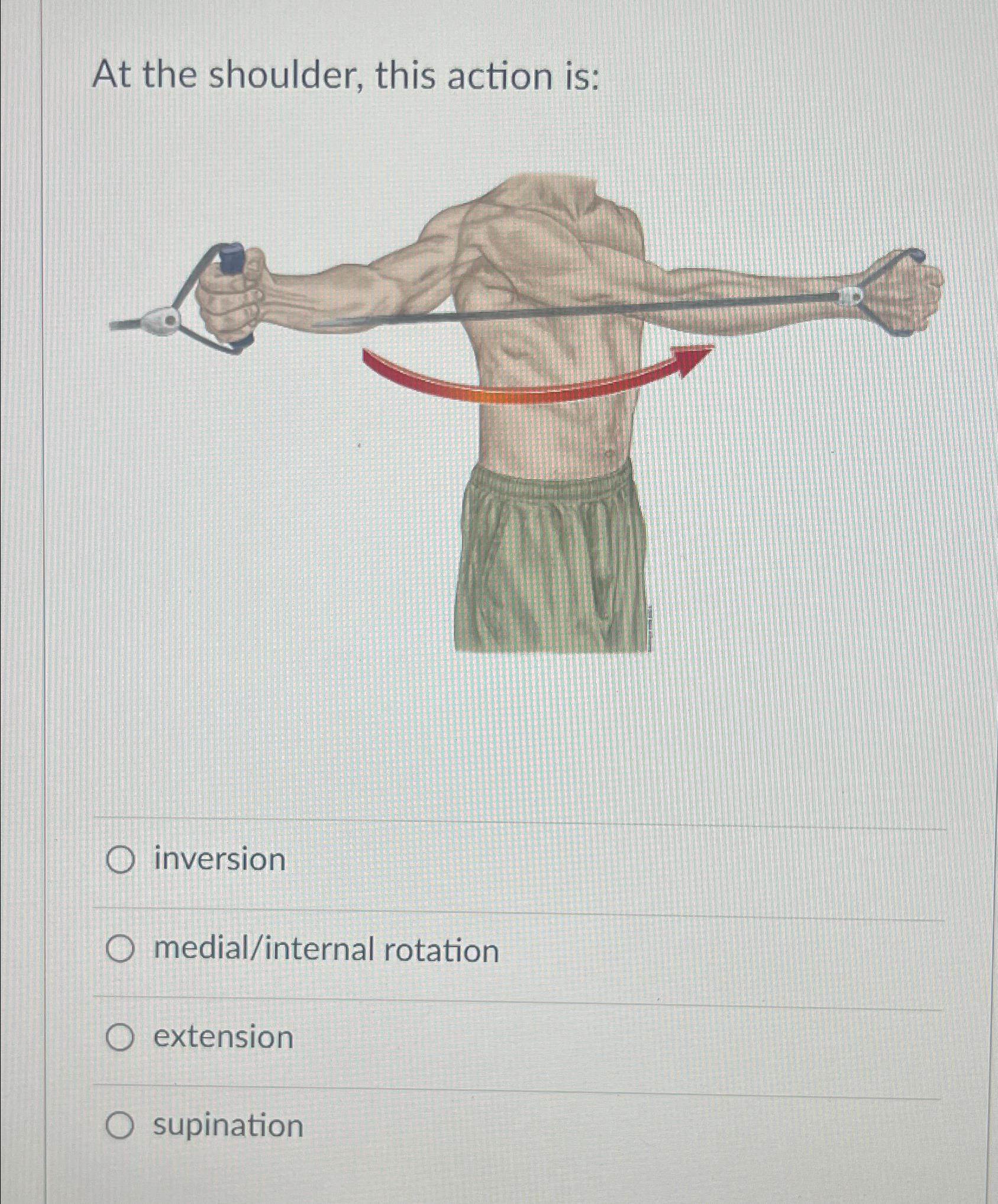 Solved At the shoulder, this action | Chegg.com