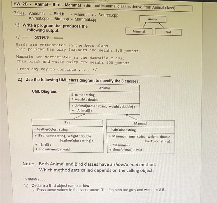 Solved HW_2B - Animal - Bird - Mammal (Bird and Mammal | Chegg.com