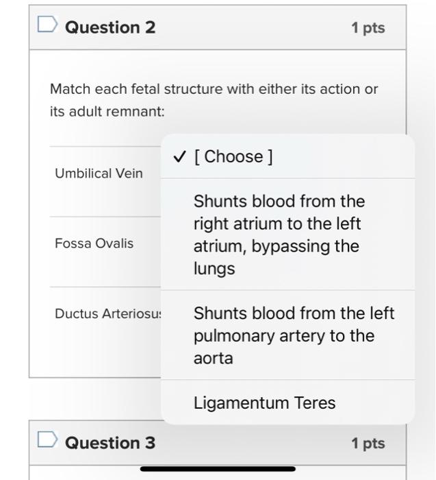 Solved Question 2 1 pts Match each fetal structure with | Chegg.com