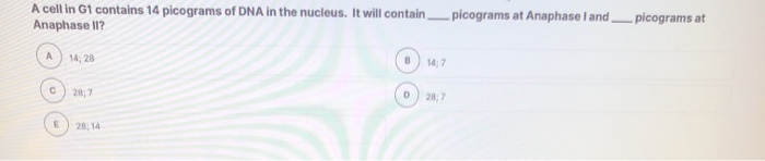 Solved A cell in G1 contains 14 picograms of DNA in the | Chegg.com
