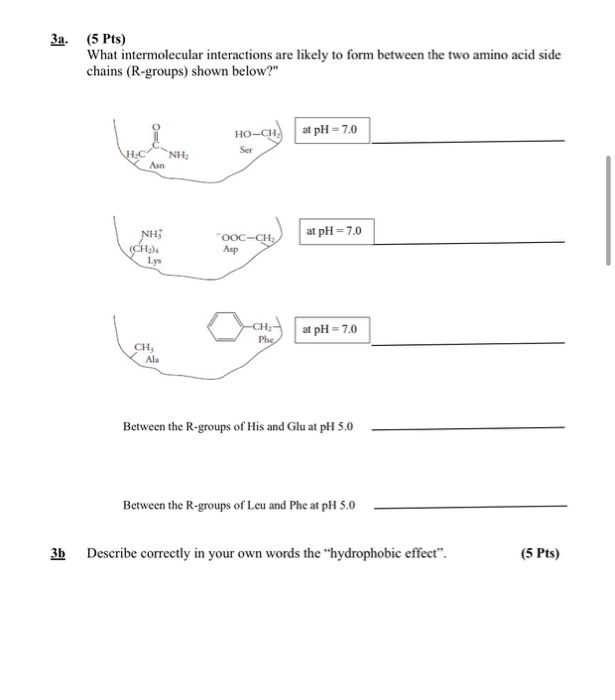 Solved 3a. (5 Pts) What intermolecular interactions are | Chegg.com