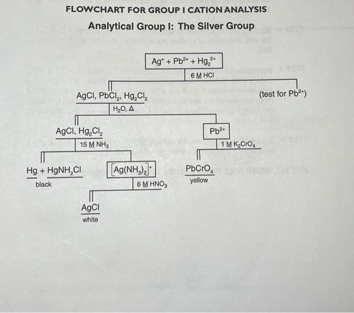 Solved 21 GROUP 1 CATIONS: The Silver Group I. OBJECTIVE To | Chegg.com